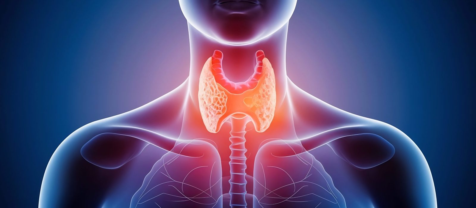 Endocrinology